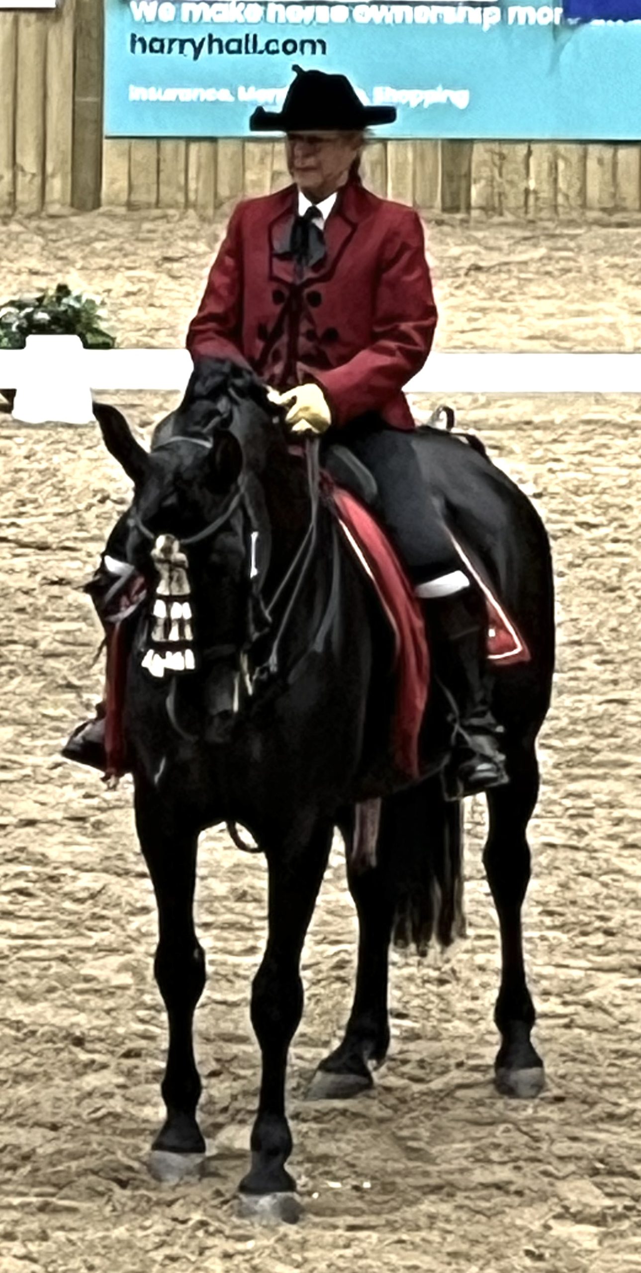 Hartpury PRE Show 2024 - Claire Lilley